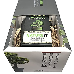Bonsai Tree Seed Starter Kit. Bonsai Pot Included. Indoor & Outdoor DIY Beginners Easy Grow Craft & Hobby Gardening Set for Women & Men of All Ages. Unusual Housewarming Gift for Plant Lovers