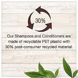 Garnier Hair Care Whole Blends Ginger Recovery Strengthening Shampoo, 22 Fluid Ounce