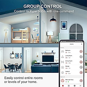 Sengled Smart Light Bulbs, WiFi Light Bulbs, Alexa Light Bulb, Smart Bulbs that Work with Alexa & Google Assistant, A19 Daylight (5000K) No Hub Required, 800LM 60W Equivalent High CRI>90, 2 Pack
