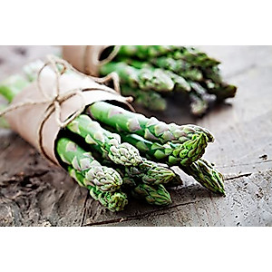 Asparagus Seeds for Planting, 50 Mary Washington Garden Vegetable Seeds, Heirloom Variety, Open Pollinated, Non-GMO