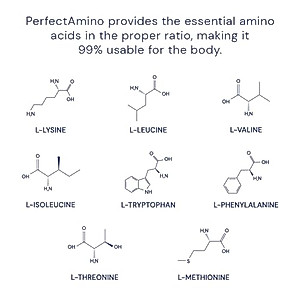 BodyHealth PerfectAmino (300 Tablets) 8 Essential Amino Acids Supplements with BCAA, Increase Muscle Recovery, Boost Energy & Stamina, 99% Utilization, Vegan Branched Chain Protein Pre/Post Workout