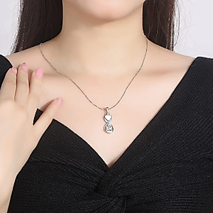 SOLOLIKE Infinity Heart Cremation Jewelry for Ashes: Sterling Silver Urn Necklaces for Women - Ashes Keepsake Pendant Memorial Jewelry Gifts for A Loss of Loved Ones