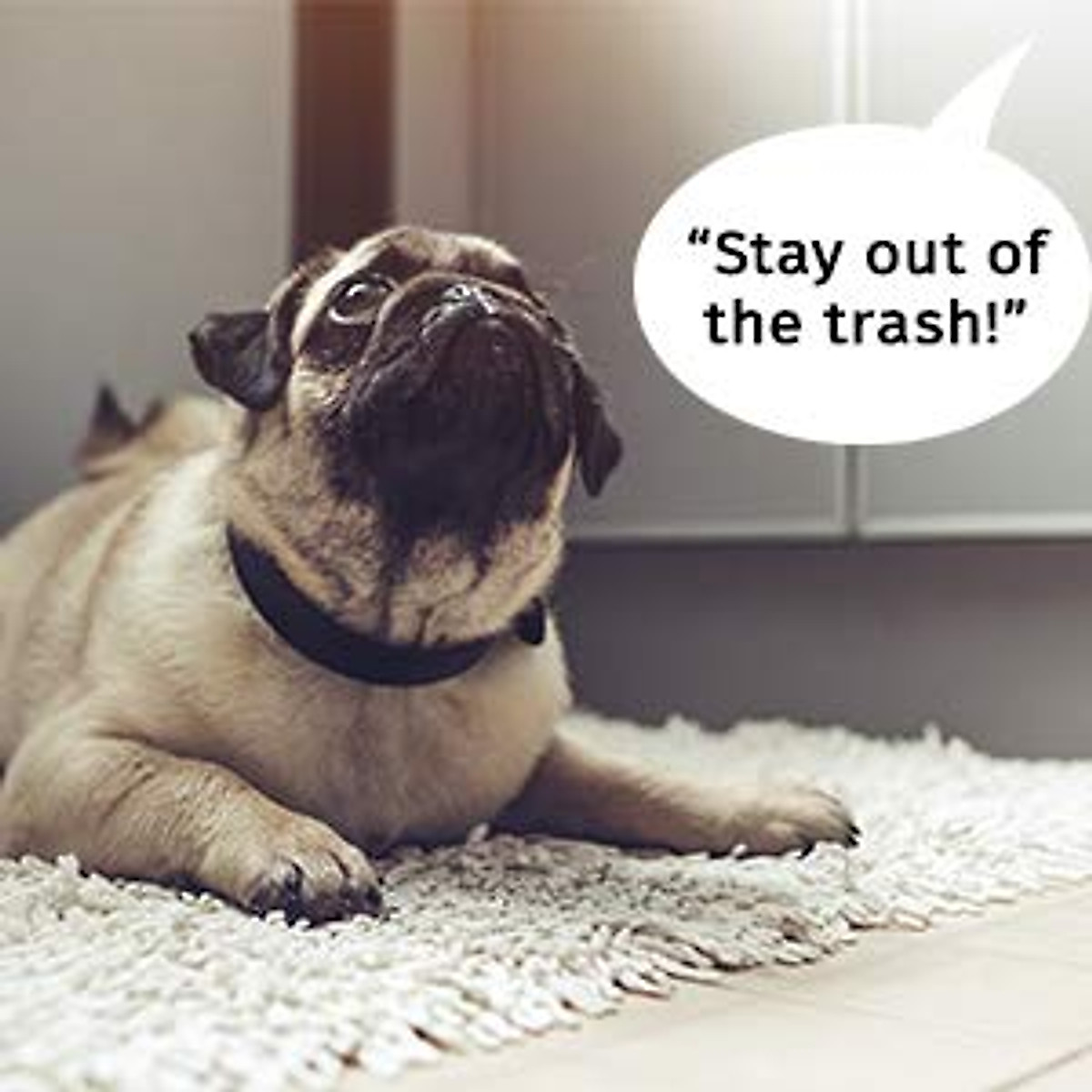 SierraTeck Motion Activated Voice Player - Recordable, Built-in Microphone – Independent Living, Point of Sale Advertising, Door Greeter, Entry Alert