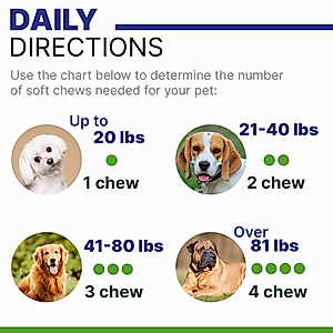 PAWSENTIAL Allergy Relief Dog Chews (240 Immune Treats) - Omega 3 + Colostrum + Probiotics - Itchy Skin Relief - Seasonal Allergies - Anti-Itch & Hot Spots - Immune Supplement - Made in USA