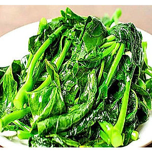 Big Pack - (1,500) Chinese Broccoli, Kailan GAI LAN Seeds - Used in Cantonese Cuisine - Non-GMO Seeds by MySeeds.Co (Big Pack - Kai LAN)