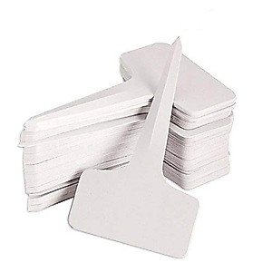 KINGLAKE 500 PCS 6 x10cm Plastic Waterproof Plant Nursery Garden Labels T-Type Tags Markers Plant Stakes Re-Usable Plant Tags (Box of 500)