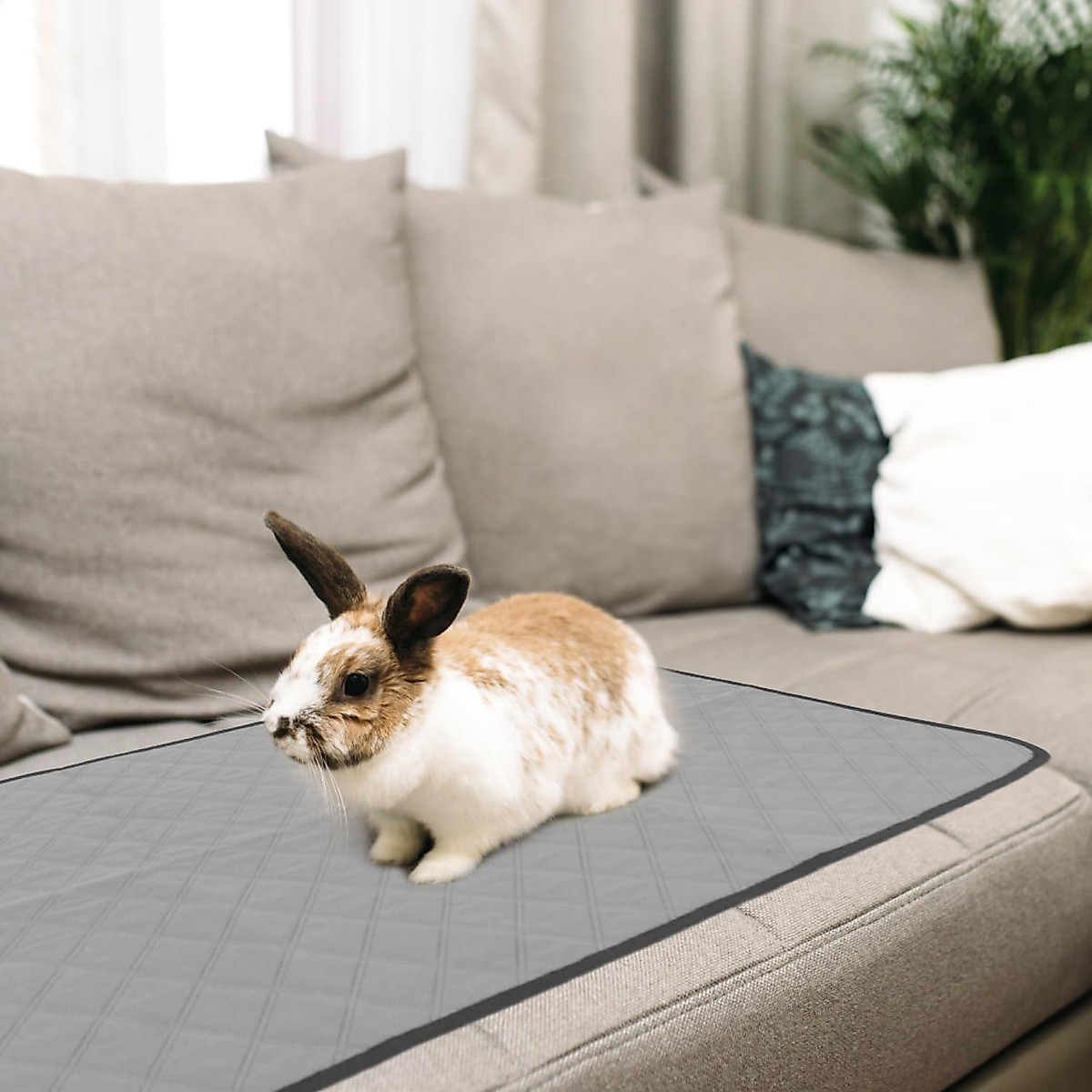 Nisorpa 4 Pack Guinea Pig Cage Liners Super Absorbent Washable Guinea Pig Pee Pads Waterproof Guinea Pig Bedding for Small Animals Rabbit Hamster Rat, 48 x 24 inches