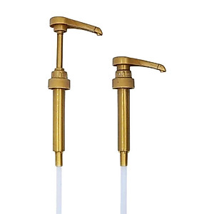 Torani and DaVinci fit Syrup (25.4 oz-750ml) Pump - Pack of 2