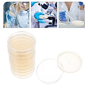 SOLUSTRE 10pcs Nutrient Agar Plate Petri Dish Petri Dish with Lid Agar Plates Culture Plate