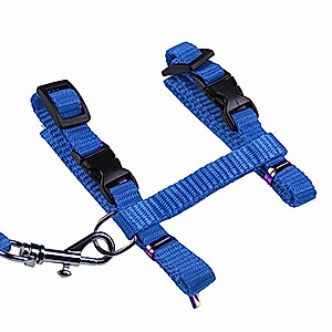 Gozier Pet Lead Leash Halter Harness Adjustable Safety Nylon Rope Strap Belt for Dog Cat Kitten (Blue)