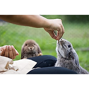 CZ Grain Premium Rabbit Pellets for Feeding - All Natural Adult Rabbit Pellets (5 Pounds)