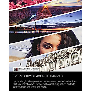 Premium Lyve Matte Canvas Paper Perfect For Use on Professional Makes and Models of Epson, Canon and HP printers preferred by Professionals. 19 mil textured Canvas offered in a 17 inch by 10 ft roll