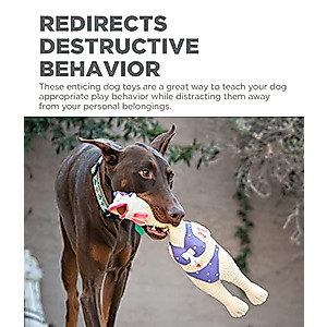 Charming Pet Squawkers Earl Latex Rubber Chicken Interactive Dog Toy, Large