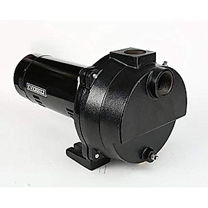 Everbilt EFLS15CI-HD 1.5 Horse Power 3330 GPH Heavy-duty Cast Iron Lawn Irrigation System Sprinkler Pump