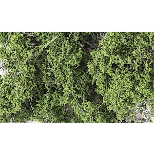 Fine Leaf Foliage, Medium Green/80 cu. in.