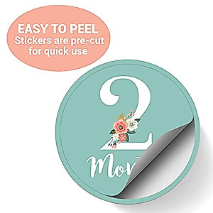 Baby Monthly Stickers | Floral Baby Milestone Stickers | Newborn Girl Stickers | Month Stickers for Baby Girl | Baby Girl Stickers | Newborn Monthly Milestone Stickers (Set of 24)