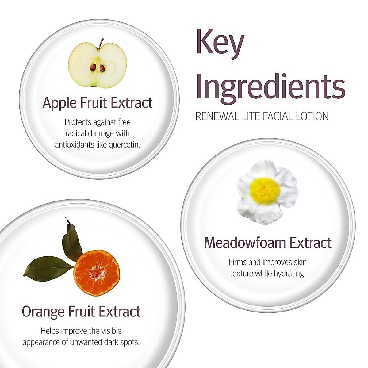 Epionce Renewal Lite Facial Lotion - Lightweight Hydrating, Anti-Aging Moisturizer for Combination to Oily & Problem Skin, Dermatologist Skincare