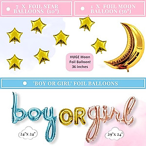 191 PC Twinkle Twinkle Little Star Gender Reveal Decorations - Includes Gender Reveal Balloon Arch Garland & GIRL BOY Balloon Boxes & Gender Reveal Balloon and More – Gender Reveal Ideas