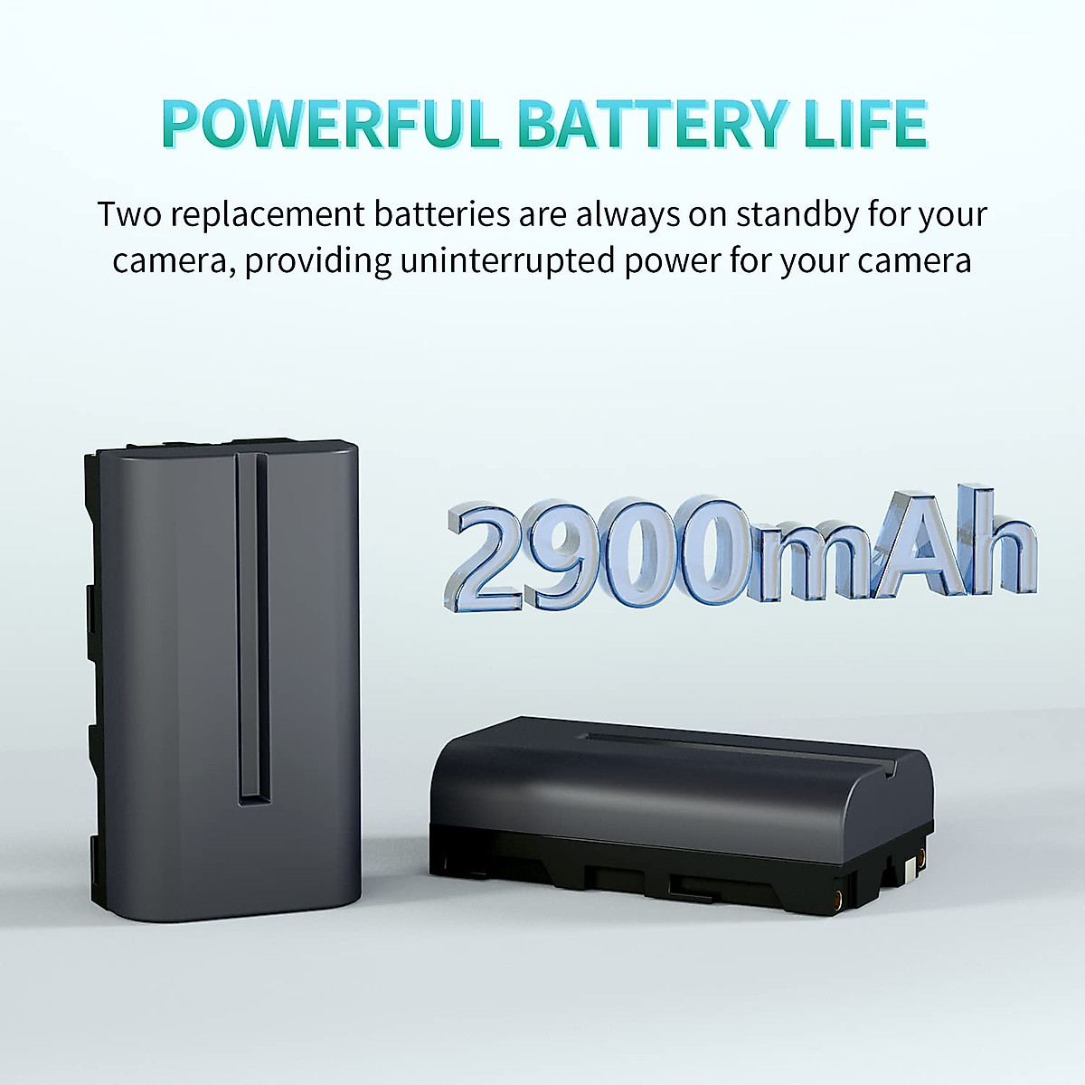LP NP-F550 Battery Charger Pack, 2-Pack 2900mAh Battery & Dual Slot Charger, Compatible with Sony NP F970, F960, F770, F750, F570, F550, F530, F330, CCD-SC55, TR910, TR917, CN160, CN-216 LED & More