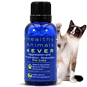 HealthyAnimals4Ever All-Natural Cat Calming Tablets for Stress and Aggressive Behavior - Help Reduce Cat Aggression/Frustration & Promote Relaxation - Homeopathic & Highly Effective - 300 Tablets