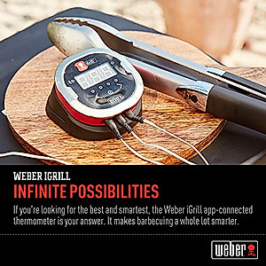 Weber iGrill 2 Thermometer