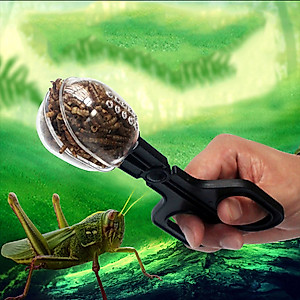 Reptiles Feeding Scooper Poop Cleaning Clamp Spoon-shaped Tips Feeder Tweezers For Snakes Lizard Tarantulas Reptile Supplies Pet Supplies Reptile Pet Supplies Amphibians Supplies Pet Health Pet