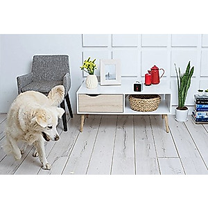 Petcube [2017 Item] Play Smart Pet Camera with Interactive Laser Toy. Remote Dog/Cat Monitoring with HD 1080p Video, Two-Way Audio, Night Vision, Sound/Motion Alerts. App-Enabled Pet and Home Safety
