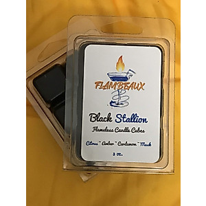 Flambeaux Black For Men | Black Stallion Wax Melts | Wax Cubes for Candle Warmer | Masculine Scent | Long Lasting