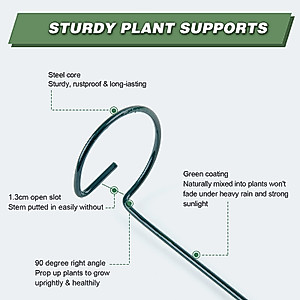 Joyhalo 12 Pack Plant Stakes, 16 Inch Plant Support Stakes, Plant Sticks Support with 24 Twist Ties, Flower Stakes for Plants Peony, Amaryllis, Marigold, Coreopsis, Tomato Seedling, Sapling Etc