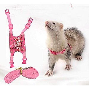 LXT&YY Small Animal Outdoor Walking Vest Harness and Leash Set with Cute Bowknot and Clear Bell Decor Chest Strap Harness for Bunny Ferret Guinea Pig Hamster Kitten Clothes Accessory (S)