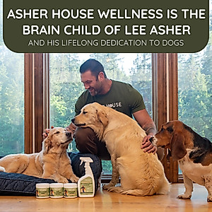 Asher House Wellness Hip and Joint Supplement for Dogs - Natural Soft Chew with MSM, Chondroitin, Glucosamine, Vitamins - Promotes Joint Health & Pain Relief Senior & All Dog Breeds, Large, 120 Chews