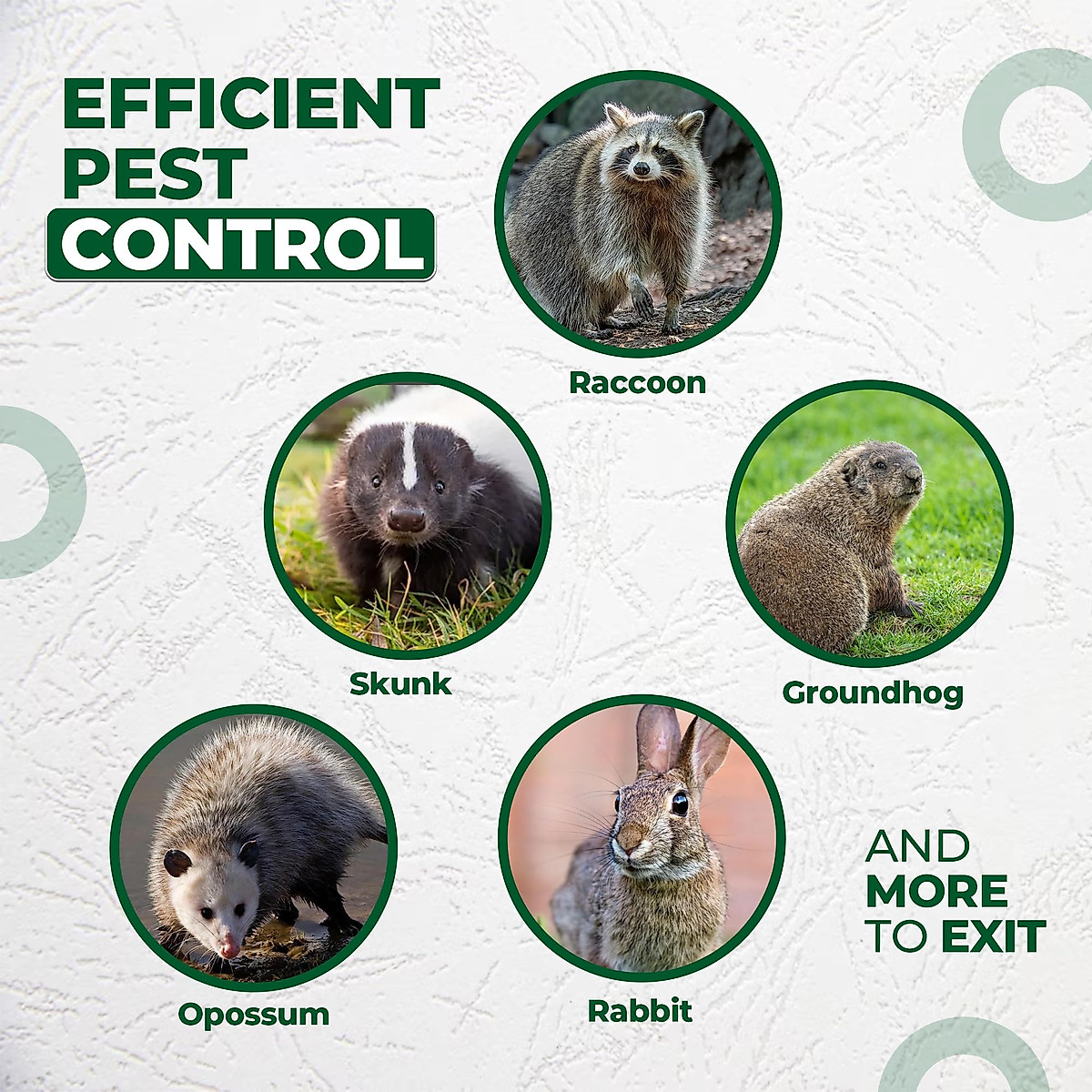 Rhino Excluders® Prochute™ Excluder One Way Door for Removal of Raccoons, Skunks, Opossums, Groundhogs and Rabbits - Black