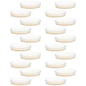 ULTECHNOVO Nutrient Agar Plates, Nutrient Agar Petri Dishes Science Project Kit, Pre-Poured Agar Plates for Students Science Fair Projects