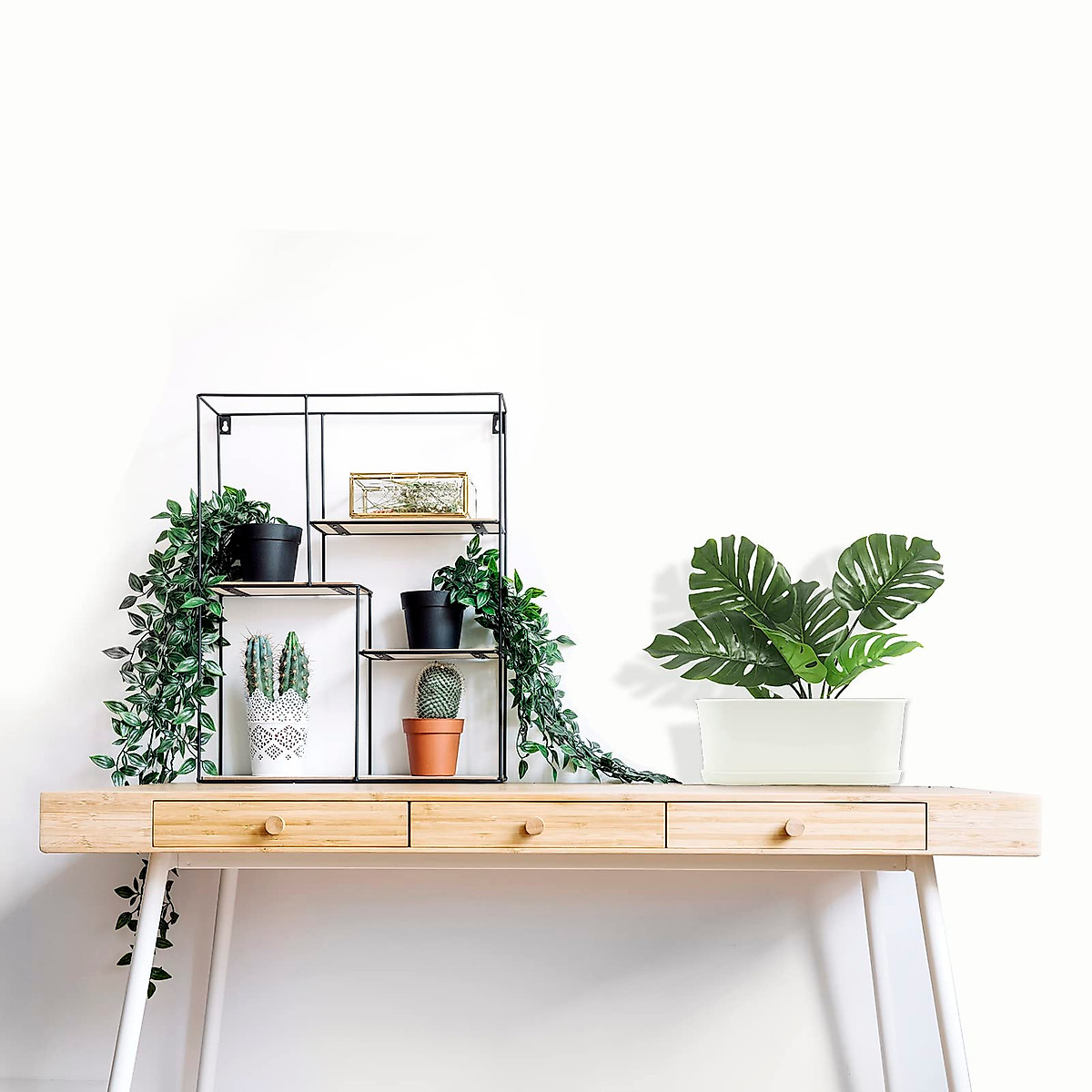 5-Pack Herb Planter,Window Boxes Planters with Multiple Drainage Holes,8.5" x 3.3" Oval Herb Garden Planter indoor/outdoor for Grow Plants, Flowers or Succulents, Deck Railing Window Planter Box