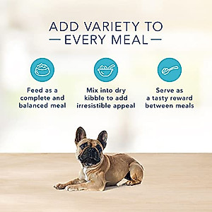 Blue Buffalo Basics Skin & Stomach Care, Grain Free Natural Adult Small Breed Wet Dog Food Cups, Turkey 3.5-oz (Pack of 12)