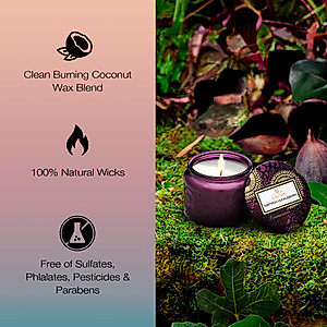 Voluspa Santiago Huckleberry, Petite Candle Jar, 3.2 Ounce, 25 Hour Burn Time, All Natural Wicks and Coconut Wax for Clean Burning, Vegan, Poured in the USA
