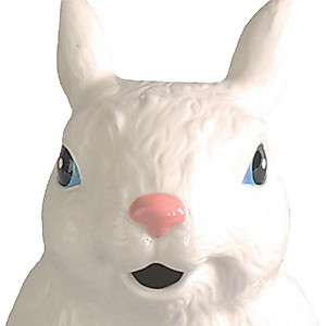 Gazechimp Ceramics Watering Can Garden House Planting Flower Vase Indoor Outdoor Flower Bonsai