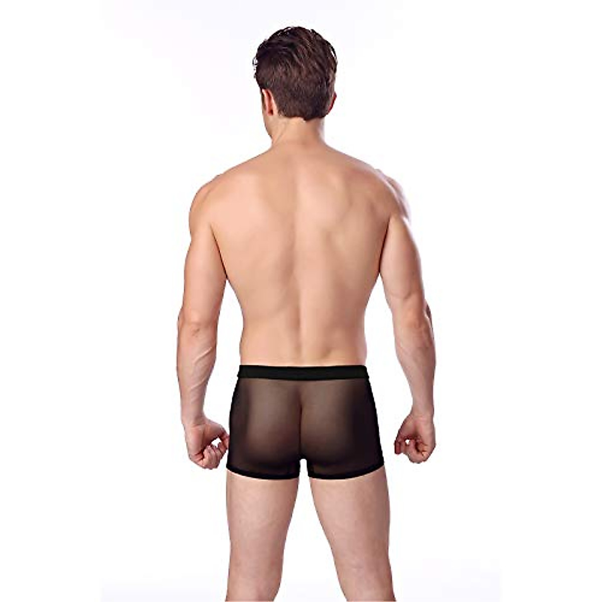 Evankin Men's Sexy Mesh Boxer Briefs Transparent Lingerie Black Mesh Transparent Bulge Pouch Valentines Underwear(45Black,XXL)