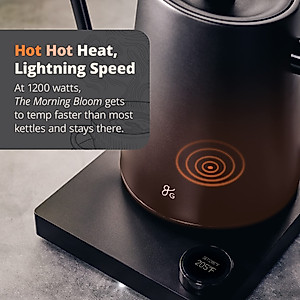 Greater Goods Electric Gooseneck Kettle with a Counterbalanced Handle, Perfect for Tea and Pour Over Coffee, Designed in St. Louis,1200 Watt (Onyx Black)