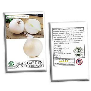 White Sweet Spanish Onion Seeds for Planting, 500+ Heirloom Seeds Per Packet, (Isla's Garden Seeds), Non GMO Seeds, Botanical Name: Allium cepa, Great Home Garden Gift