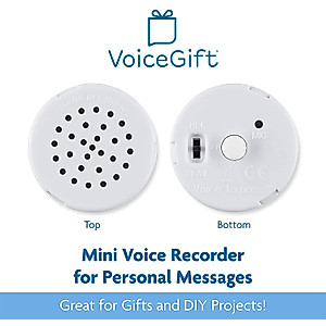 VoiceGift 60 Second Multi-Message Voice Recorder, Record Custom Messages for Plush Toy, Stuffed Bear Toy, Baby Doll Toy, and Pillow - 2 Pack