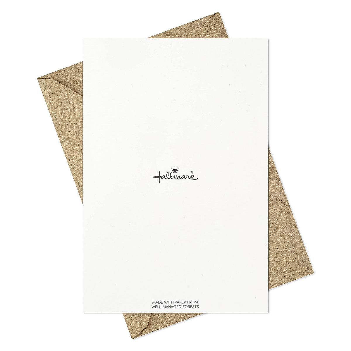 Hallmark Thanksgiving Cards Assortment, Thankful (36 Assorted Cards with Envelopes)