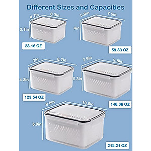 GOJUSO 4 Size Fruit Storage Containers for Fridge with Lids Clear Plastic Box Food Organization Stackable Organizer