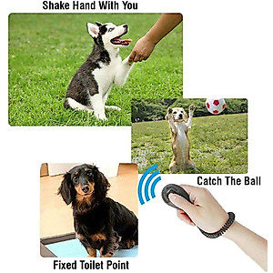 Black Clicker Easy to Use with Button Dog Training Accessories Agility Equipment,Training and Behavior Aids,Dogs