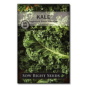 Sow Right Seeds - Hydroponic Vegetable Seeds for Planting - Lettuce, Kale, Arugula, and Pak Choi Seeds for Planting and Growing a Hydroponic Greens - Garden Indoors - Perfect for Your Growing System