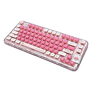 Heayzoki Wireless Mechanical Keyboard, Type C Wired Keyboard, BT 3 Mode Custom Hot Swappable Noise Reduction Gaming Keyboard with RGB Backlight 2 Layer Keycaps for iOS