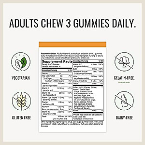 Nature’s Way Alive! Premium Adult Gummy Multivitamins, Essential Vitamins & Minerals, Supports Whole Body Wellness*, Vegetarian, Grape and Cherry Flavored, 90 Gummies