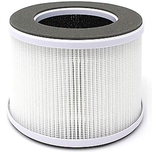 RIGOGLIOSO True HEPA Air Purifier Filter Replacement Compatible for Home Ionic Air Purifiers Small Air Cleaning System for Home, Office Desk, Room or Desktop.GL2109
