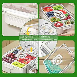 DIY Food Storage Containers, Organizer Boxes with Lids for Vegetables, Fruits, Herbs, Spices, Nuts, Seeds