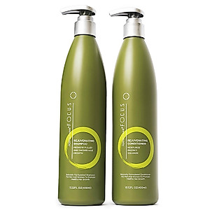 Perfect Hair Natural Shampoo and Conditioner - Paraben and Sulfate Free Infused with Jojoba, Coconut, Argan Oil and Biotin - Color Safe Formula Promotes Hair Growth - Includes Pump 13.5 ounce(1 Pack)